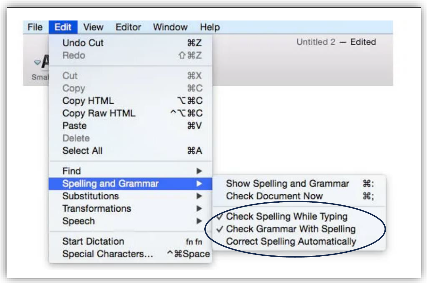 How to enable spellcheck when using Lucia